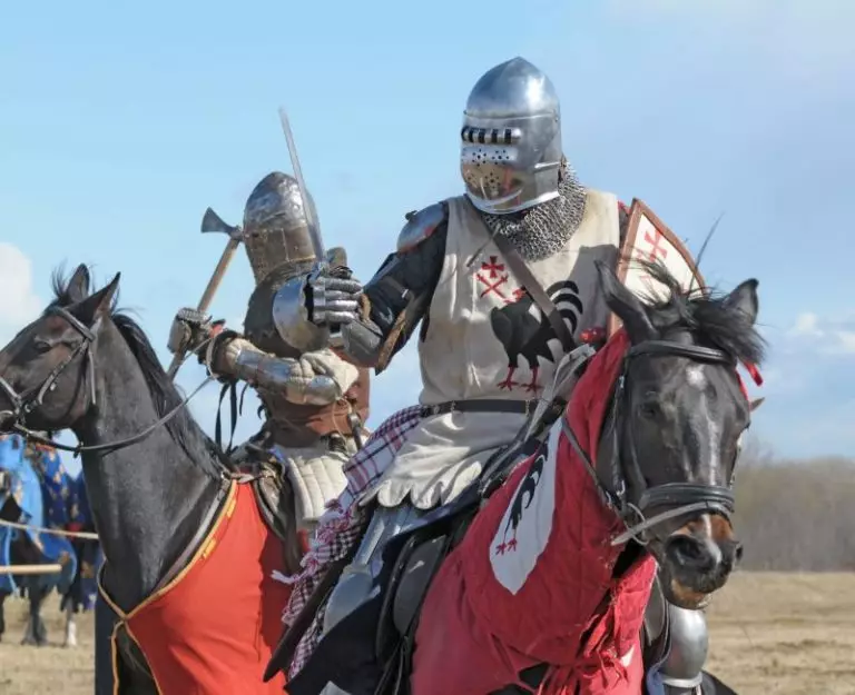 Brandenburg Knights.