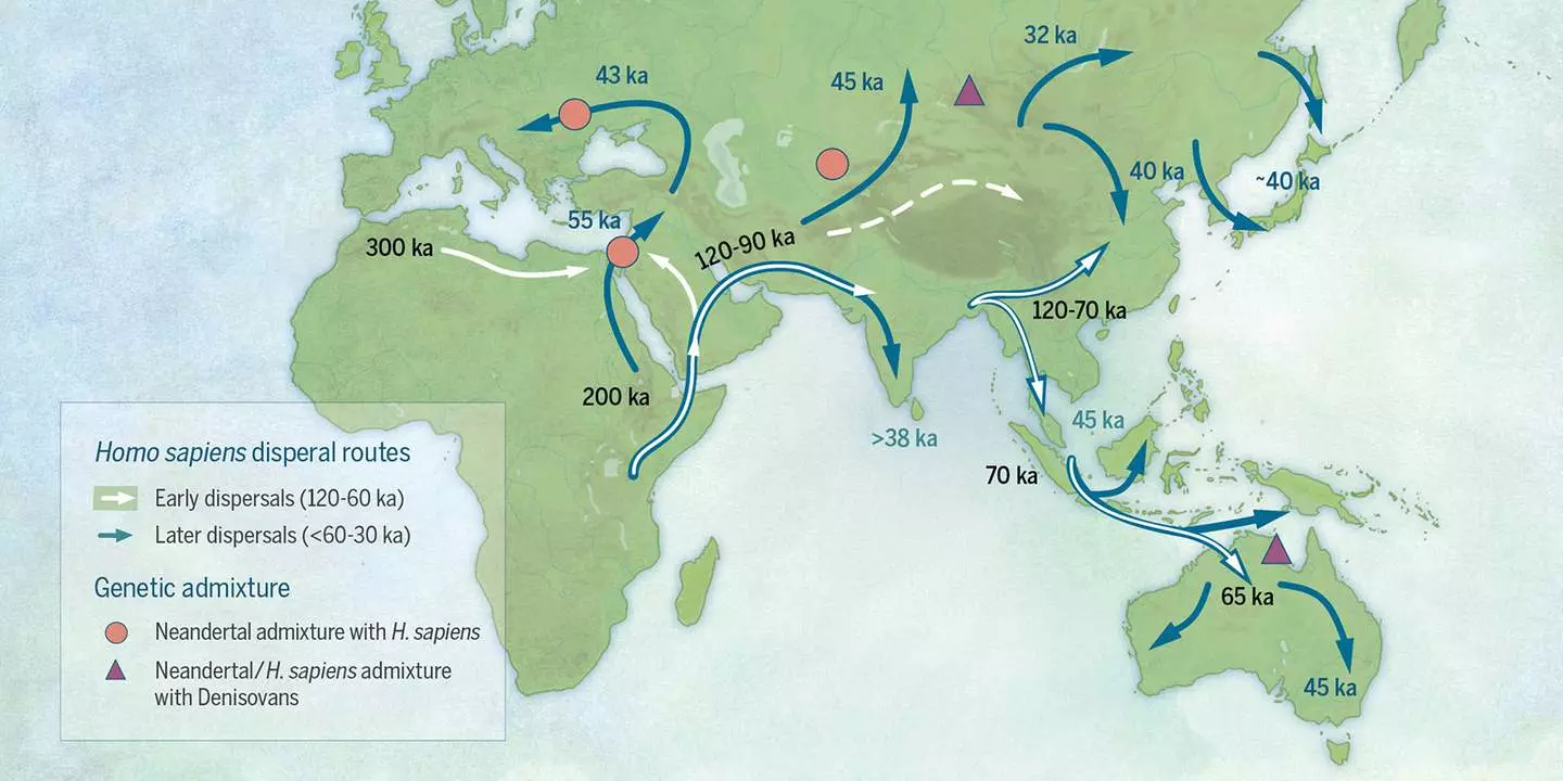 Skema Migrasi Homo Sapiens