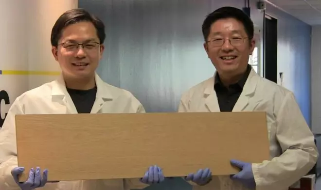 "Posyana a unha nota". Os científicos desenvolveron "Super Wood" con forza de aceiro