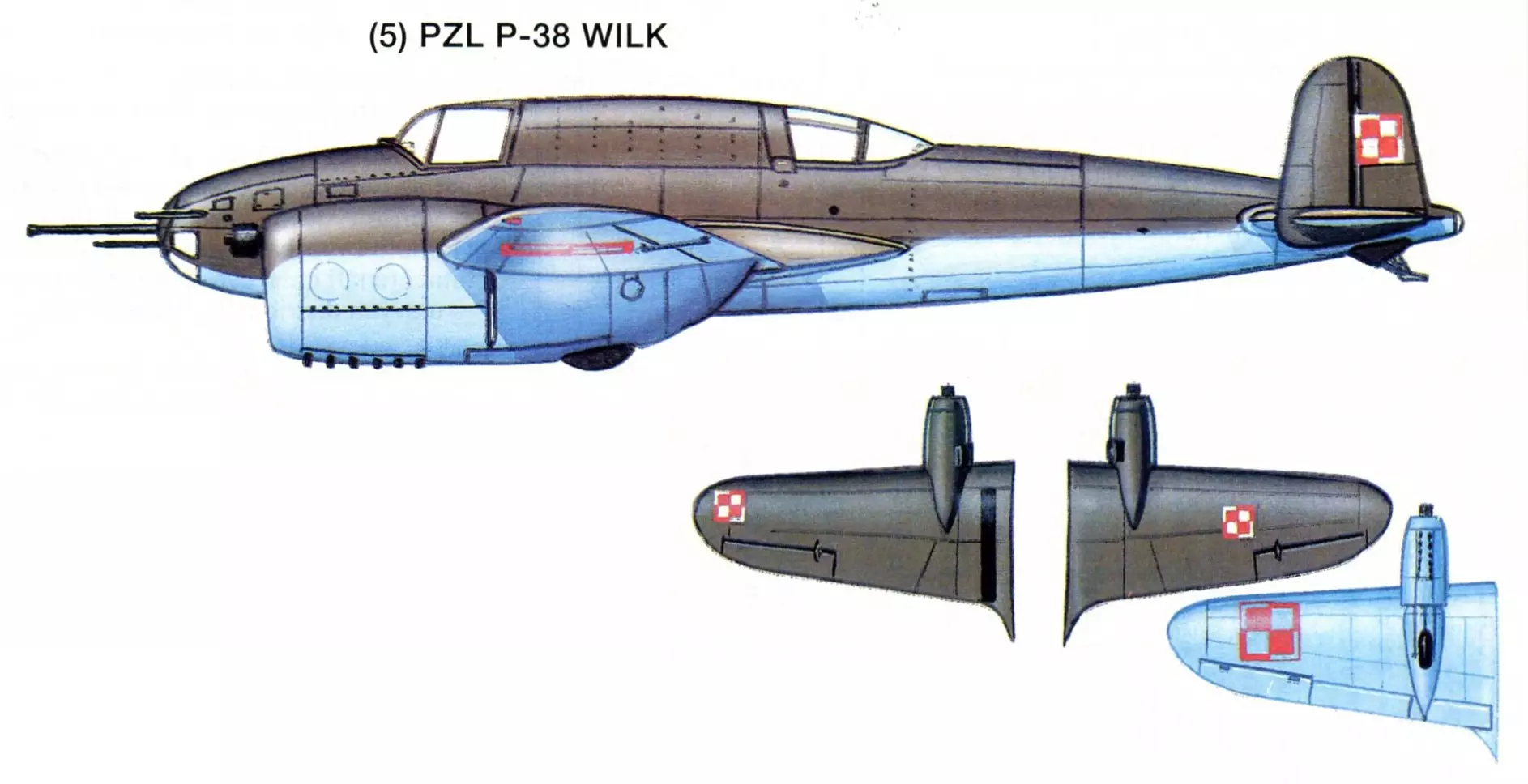 Oba proizvedeni prototipovi višenamjenskog vojnog zrakoplova PZL P-38 (s Ranger i Foka motora) letio u standardnom poljskom kamuflaže: gornja i bočna ploha zrakoplova bili obojeni u zeleno-smeđe boje, a na donjim površinama - plavo. Prvi prototip PZL PZL P-38 / I prikazana na slici izvodi poljskih identifikacijskim znakovima (drugi prototip PZL P-38 / II poletio bez identificiranja znakova). „Shakhovnitsa” Ne gornja površina krila je male veličine i asimetričan položaj, na donjoj površini krila, identifikacijski znakovi su veliki (bez bijelog „shakhnitz”) i simetrične. Ostale oznake (brojevi, slova, tvornica amblemi) na strojevima nije bilo