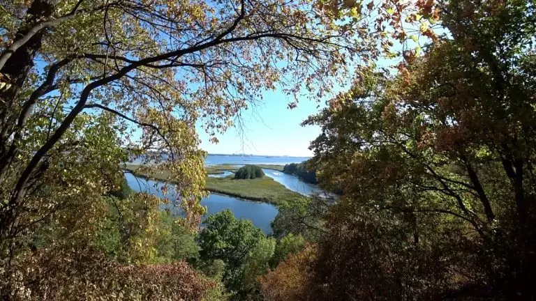 Tingnan mula sa White Mountain sa voronezh reservoir (larawan