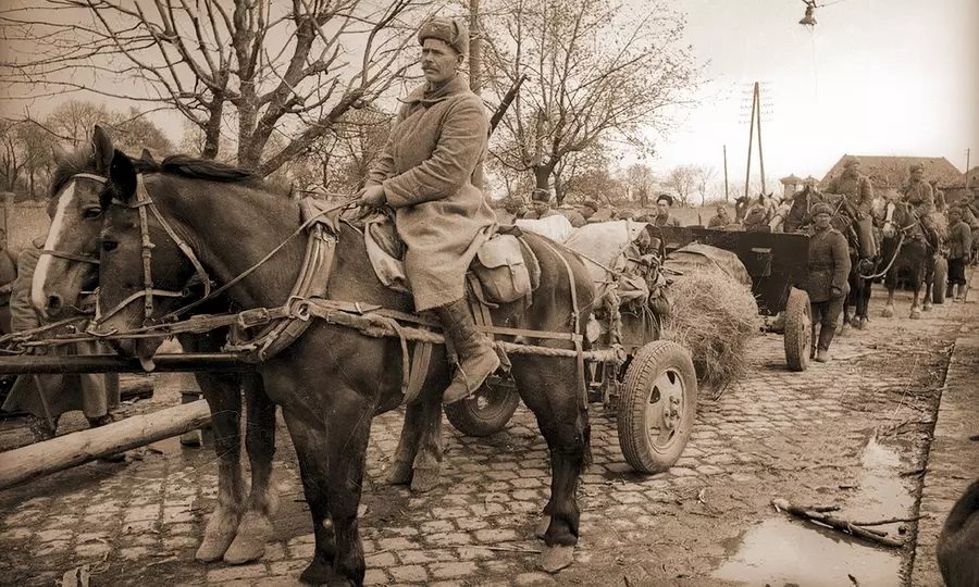 Artillery cu arme cis-3 pe călare. Ungaria, martie 1945