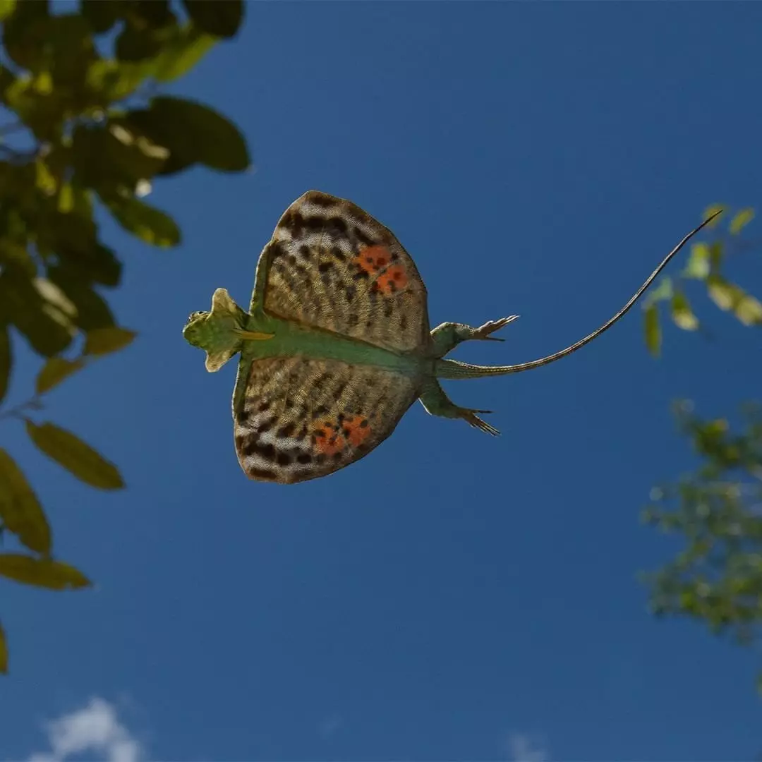 Dragona malay (maoderina). Saripika sy fanoharana nalaina avy amin'ny loharanom-baovao misokatra ary an'ny mpanoratra azy