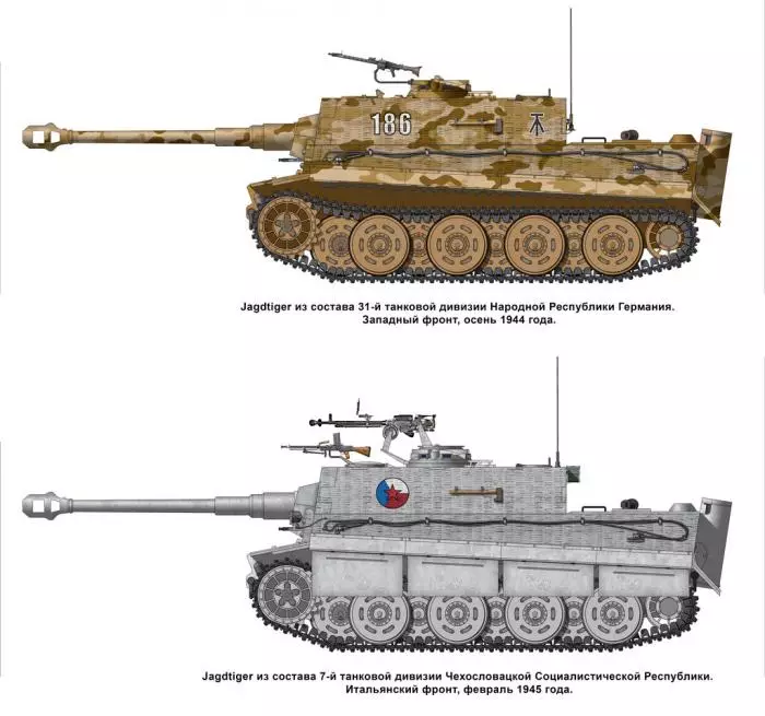 ZVyýa Telman. Jagdtiger sd.kfz.183. Germaniýa Respublikasy. 1943-nji ýyl.