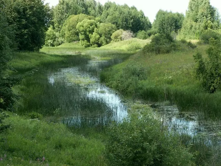 Istua nopeasti. On vaikea kuvitella, että satoja venäläisiä ja tatars jätetään hänen jäätään