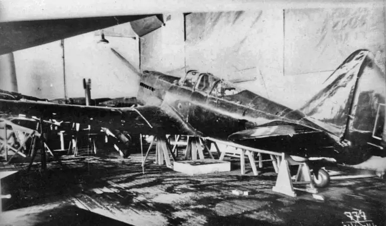 Aeronaves de Tomashevich. Experimentado Fighter e-110