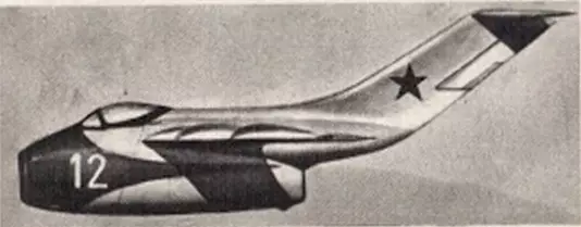 MiG-19 batalanto, flanka vido