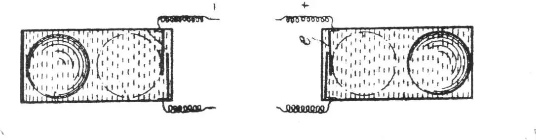 Maholot Dr. Rumund Nyphure