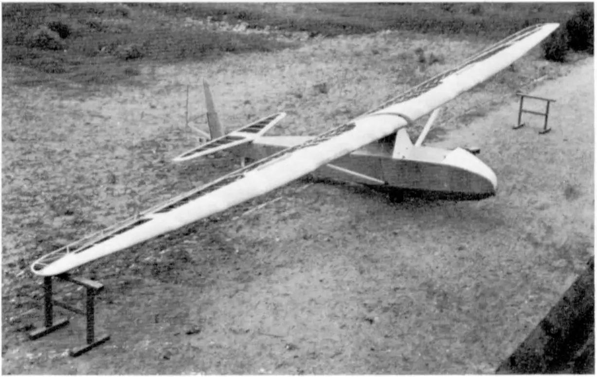 ሩዝ. 2 ህፃን III glider