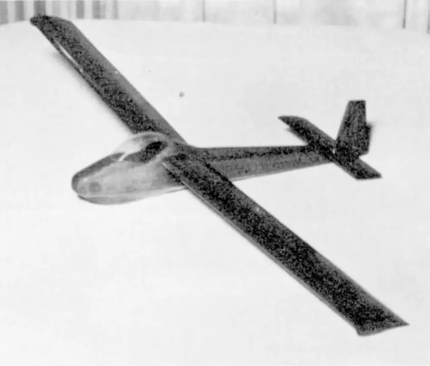 Reis. 7 Modell des BIE-Segelflugzeugs