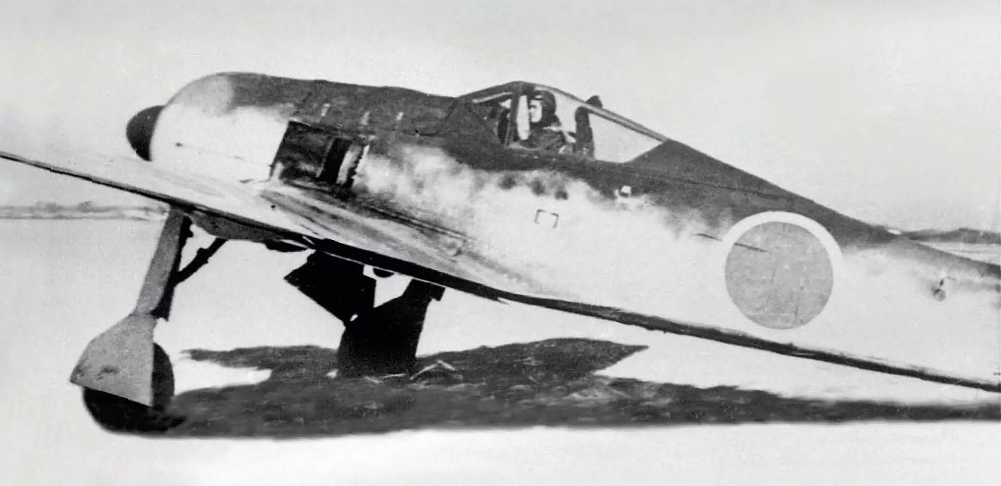 Het enige exemplaar van de FOCKE-WULF FW 190A-5-jager werd aan het einde van de zomer van 1943 aan Japan geleverd en werd samen met Japanse vechters getest in Fusa Airfield (FUSA), niet ver van Tokio. Het vliegtuig wordt zeer gewaardeerd door de Japanse testpiloten, maar er werd niet geïntroduceerd in massaproductie