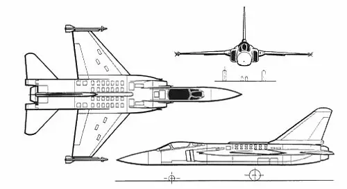 Qhov twg muaj ib tug goer