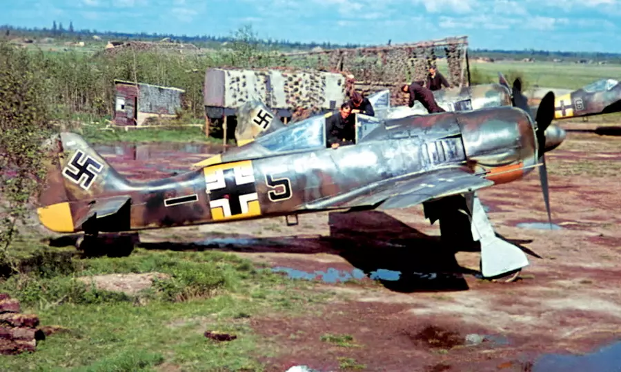 Par FW 190A-5 av 5./jg 54 i en trefarget grønn / grønn / brun kamuflasje av øvre og sideflater, sommer 1943