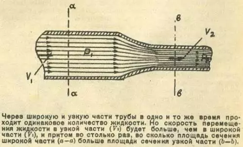 Suv qanotlari