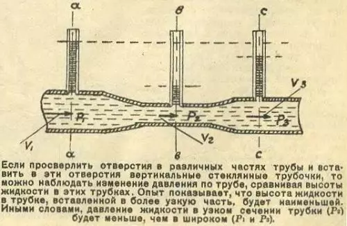 водяні крила