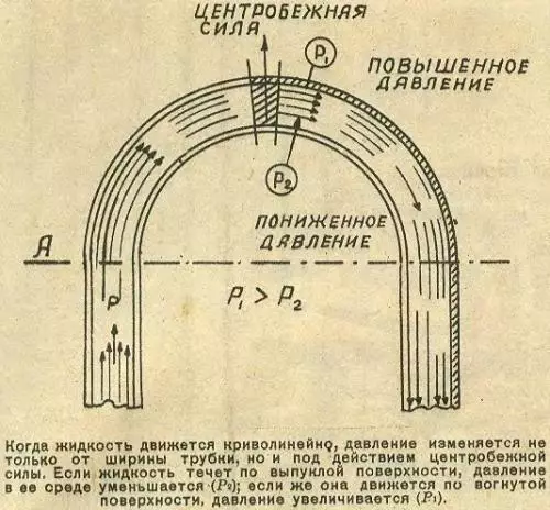 водяні крила