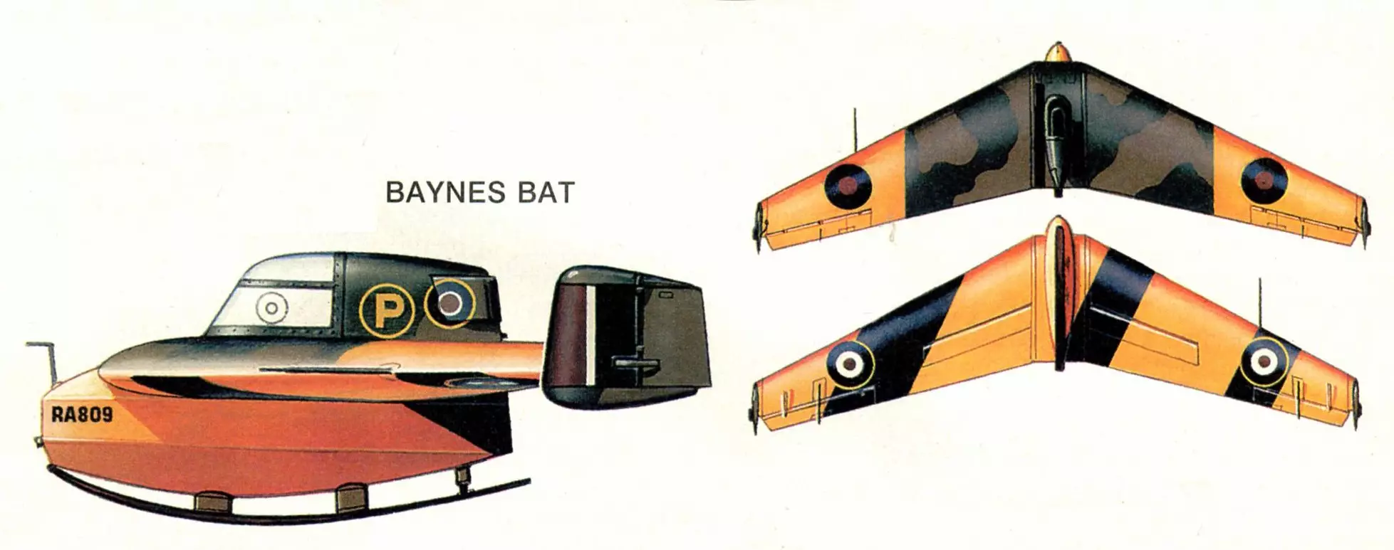 Schéma Maľba Experimentálny Glider Slingsby-Baynes Bat