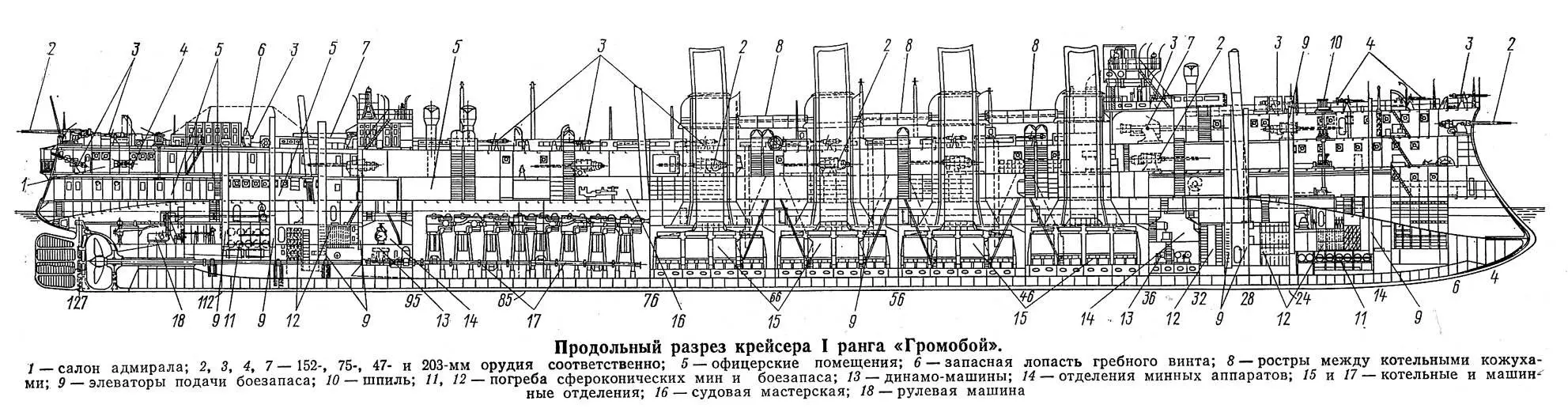 Muizen Baltische plant 2175_5