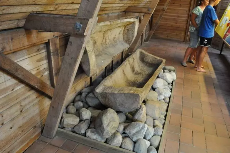 大約在丹麥的青銅年齡的橡木棺材看。他們需要多少橡樹？ （哥本哈根國家博物館）