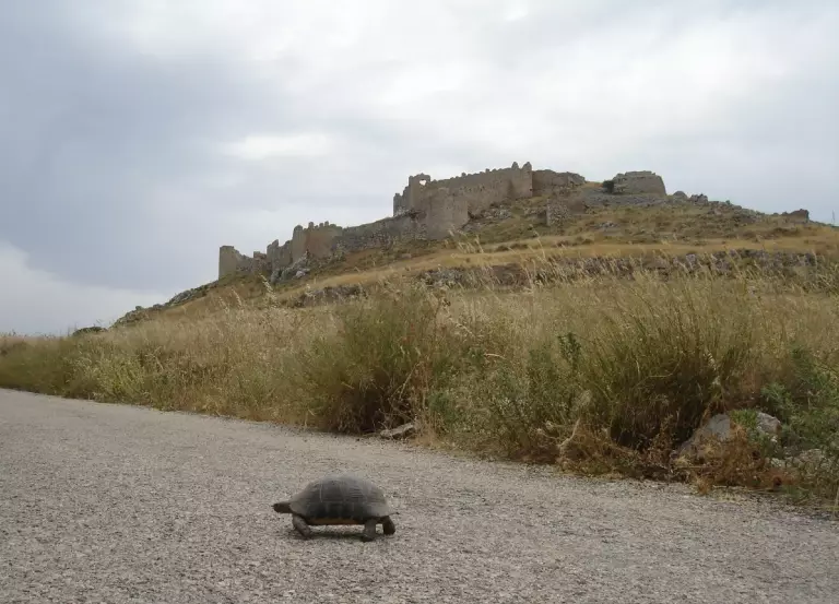 Larsa Castle.