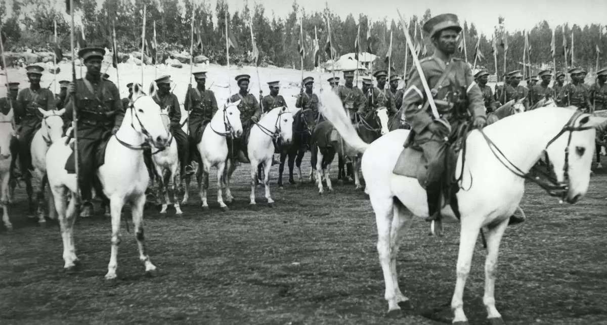 Afrika aslanı, ilk önce