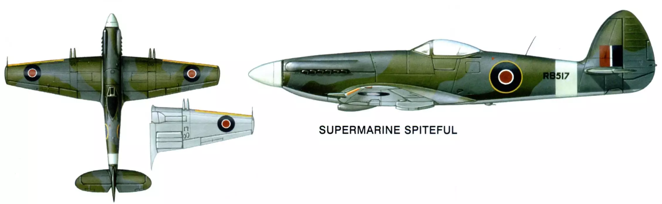 Supermarine Slepful MK.XIV Serijski borci so prejeli standardno kamuflažo dnevne enote z eno-motorjem, ki so kraljevi zračni sile: zgornje in stranske površine so bile prekrile z neravnimi polji temno zelene in modrikaste-sive, spodnje površine so imele svetlo sivo prevleko. Namet vijaka in trak čez trup je bil svetlo zelen, sprednji rob krila na območju konca je bil pobarvan v rumeni barvi. Identifikacijske oznake so bile nanesene na zgornje in spodnje konzole krila (modro-bela-rdeča Chardia), na strani trupa (modro-bela-rdeče-rdeče-rdeče-rdeče-rdeče-rdeče barve) in navpični vtič (rdeče-bela-modra pravokotnik )