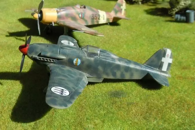 Patyręs Fiat G.50V kovotojas. Italija. \ T