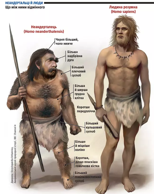 Neandertallid: lugu ebaõnnestunud inimkonna