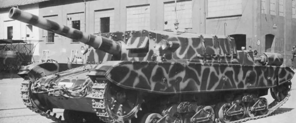 "Dachshund" برای حمله توپخانه. Sau Semovente Da 105/25