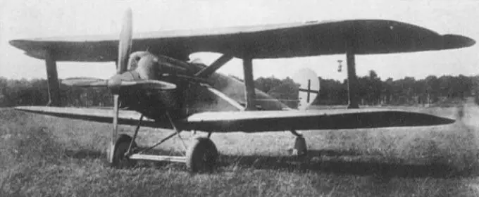 經驗豐富的戰鬥機a.e.g。 D.I.德國