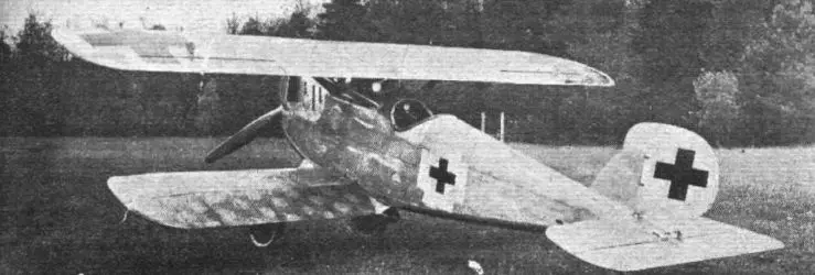 The front parts of the wings of the prototype D-1 had a metal trim