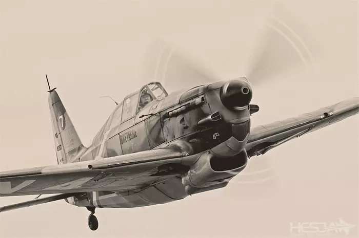 Morane-Saulnier MS.406 芬兰