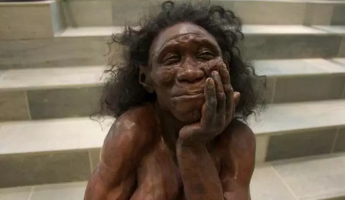 Babae - Human Floresian Homo floresiensis