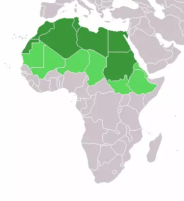 Por que os negróides são tão escurecidos? E também sobre cabelos brancos - de onde são?