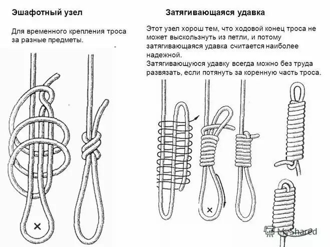 Popadants ninu apoti: awọn imọ -ẹrọ ti o sọnu.