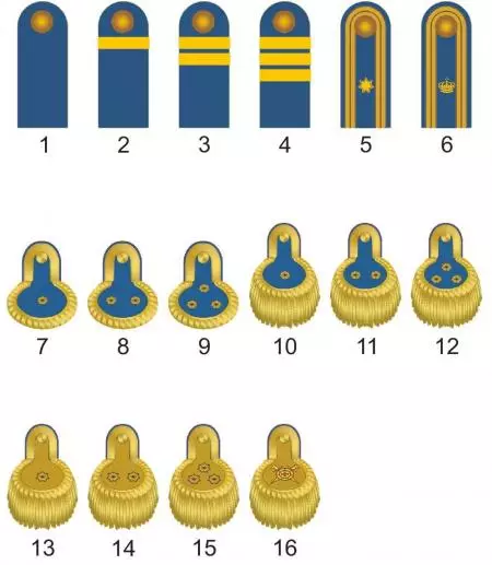 Грузияның МГК-да айырмашылығының формалары мен белгілері (жаңа нұсқа)