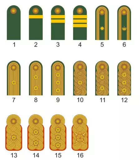 Грузияның МГК-да айырмашылығының формалары мен белгілері (жаңа нұсқа)