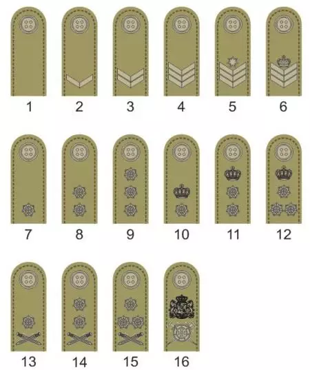 Pakaian seragam dan lambang Georgia dalam MGK (versi baru)