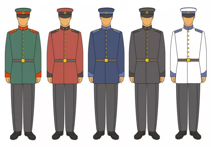 Uniforms na ihe ịrịba ama nke ọdịiche nke Georgia na MGK (ụdị ọhụụ)