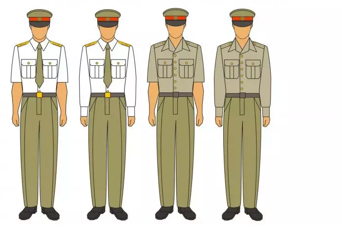 Uniforms na ihe ịrịba ama nke ọdịiche nke Georgia na MGK (ụdị ọhụụ)