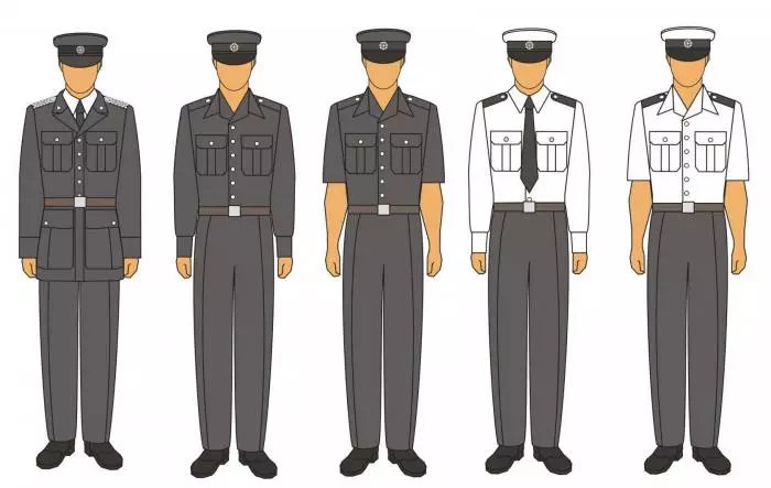 Uniforms na ihe ịrịba ama nke ọdịiche nke Georgia na MGK (ụdị ọhụụ)