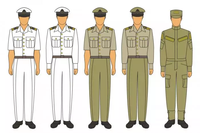 Uniforms na ihe ịrịba ama nke ọdịiche nke Georgia na MGK (ụdị ọhụụ)