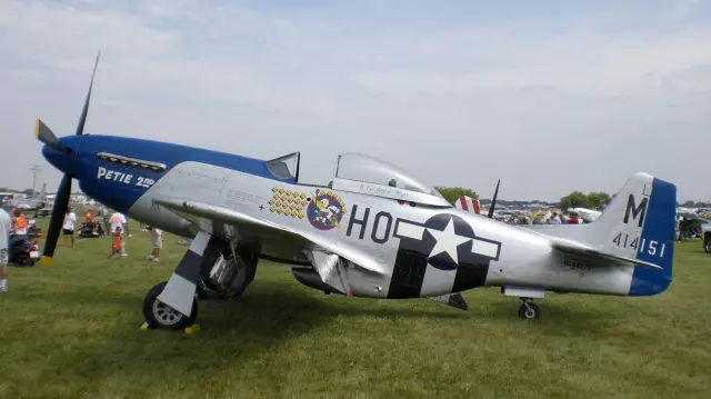 Μεταξύ των πολλών παραλλαγών του μαχητή Mustang, η μεγαλύτερη επιτυχία έπεσε στο μερίδιο των αεροσκαφών που ήταν εξοπλισμένο με τις αγγλικές μηχανές του Merlin. Αυτά ήταν P - 51V, C και, φυσικά, ο R-51D είναι ο καλύτερος και ο πιο διάσημος Αμερικανός μαχητής του Β 'Παγκοσμίου Πολέμου. Από το 1944, αυτά τα αεροσκάφη εξασφάλισαν την ασφάλεια των βαρέων αμερικανικών βομβαρδιστικών Β-17 και Β-24 από τις επιθέσεις των γερμανικών μαχητών και στη μάχη κατέδειξαν την υπεροχή τους.