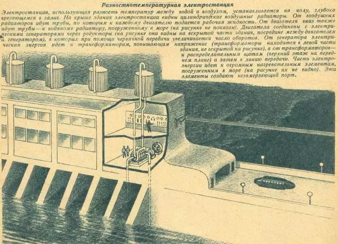 1950. gadā Arktikā