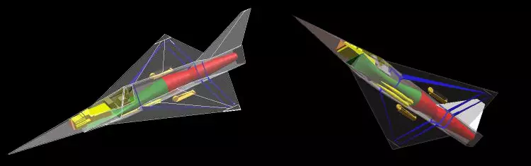 F-117 գերմաներեն - Messerschmitt-Bölkow-Blohm MBB Lippyridae (Firefly): Գդա