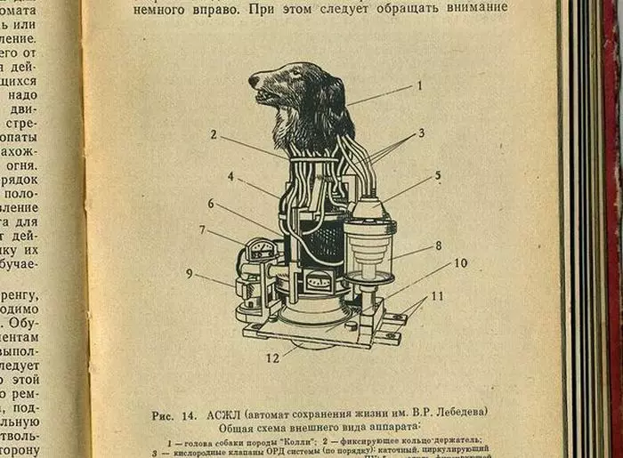 Rahasia Teratas - biorobot Soviet