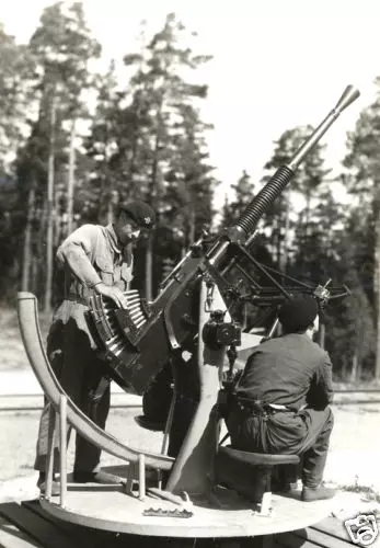 Bofors 25mm LvAkan M / 32; 40mm LvAkan M / 36