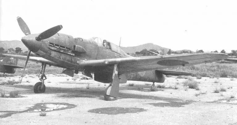 Pali gutljaj Kawasaki ki.61 / ki.100