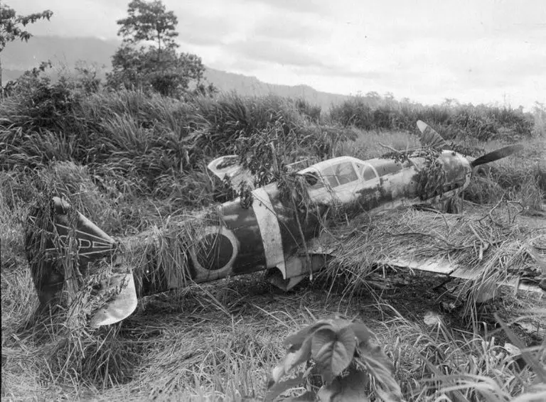 Fallen Swallow Kawasaki ki.61 / ki.100