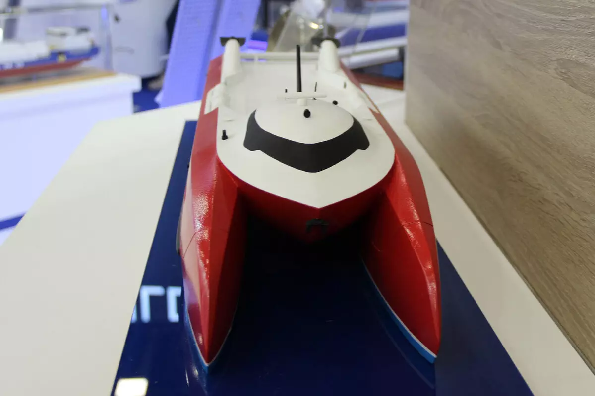 Chạy trên sóng: Siberian Rivers đã phát triển một chiếc Catamaran tốc độ